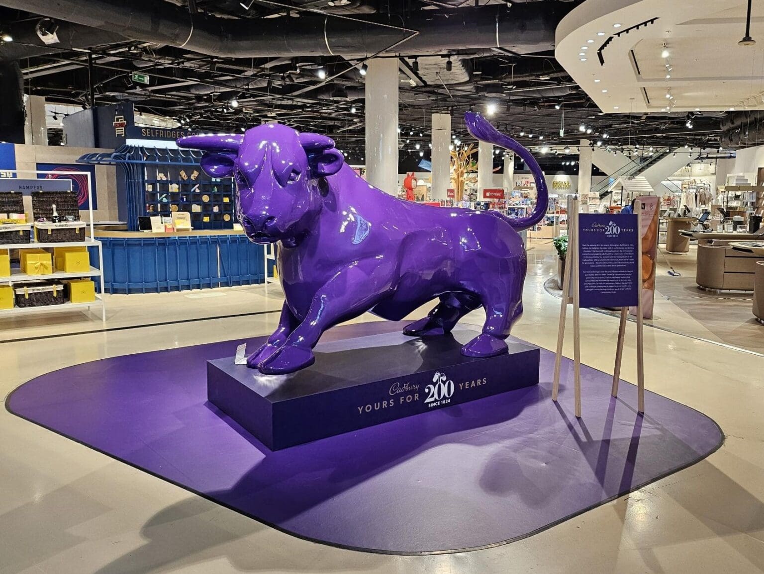 Signage Makers | Signs And Graphics | Vinyline